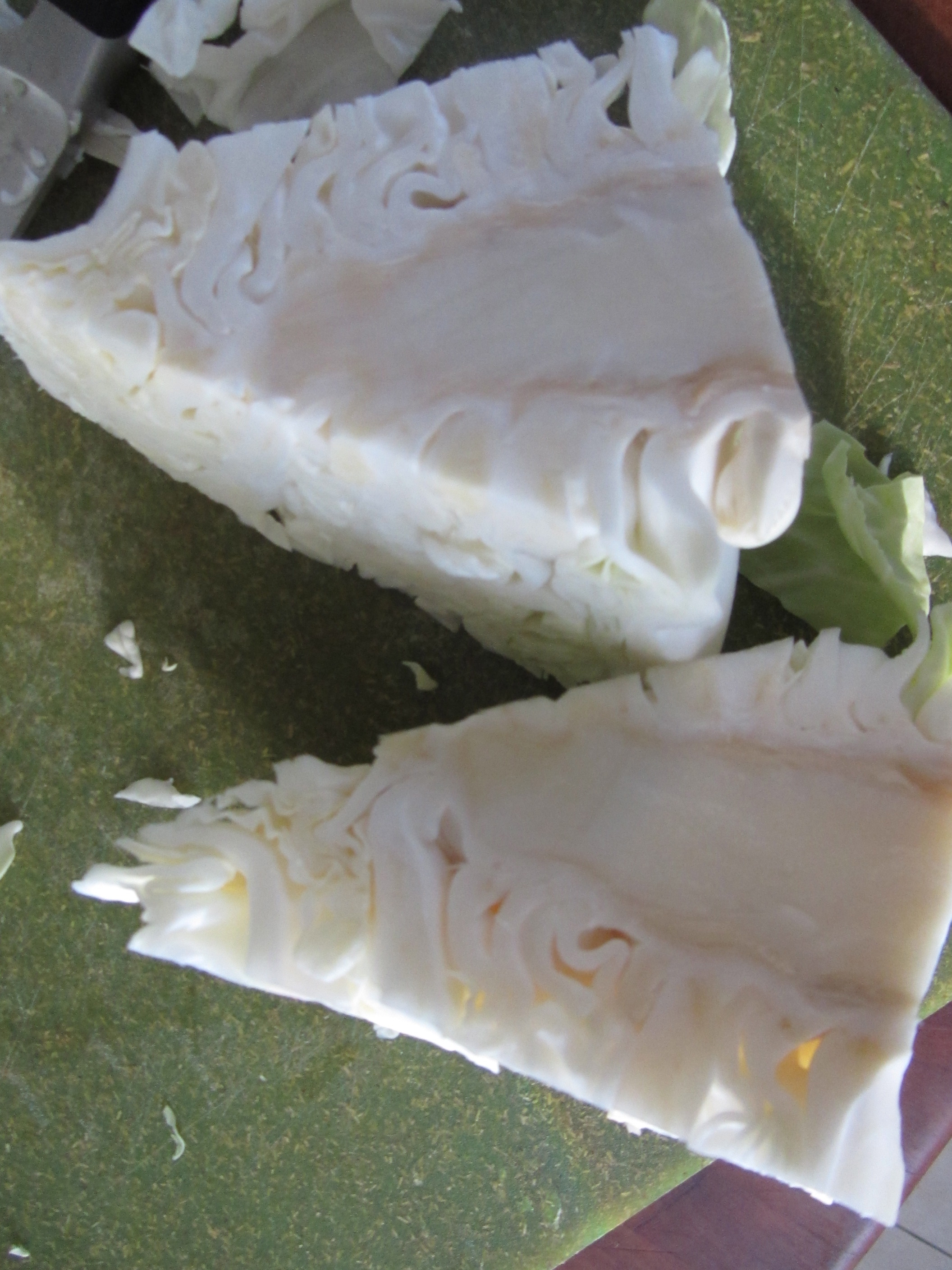 The extraordinary diversity of Brassica oleracea | The Botanist in the ...