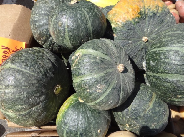 Cucurbita squash diversity | The Botanist in the Kitchen