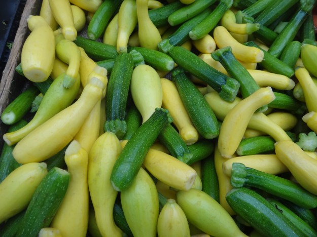 Cucurbita squash diversity | The Botanist in the Kitchen