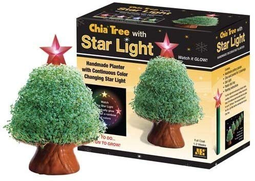 Fruit | The Botanist in the Kitchen